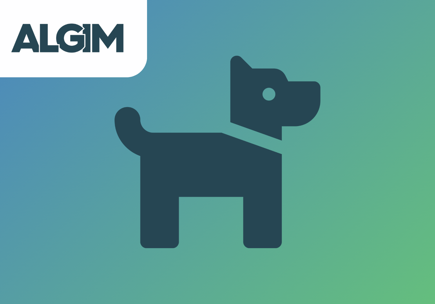 Impounding of Dogs - Flowingly