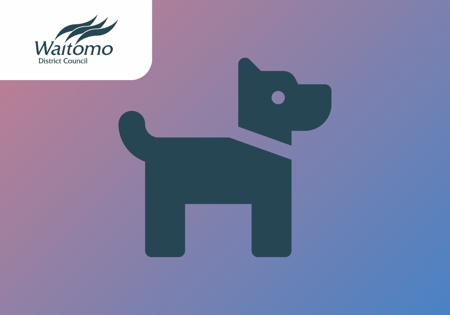 Dog Registration Process - Flowingly